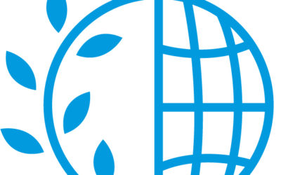 Reiss Center on Law and Security